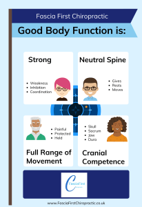 ‘Lose Tension, Function Better, Feel Better’ – Fascia First Chiropractic